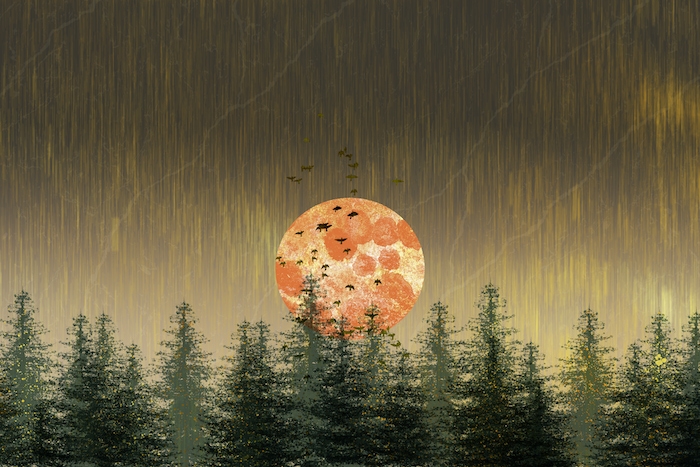 The birds scape Wallpaper - happywall.com