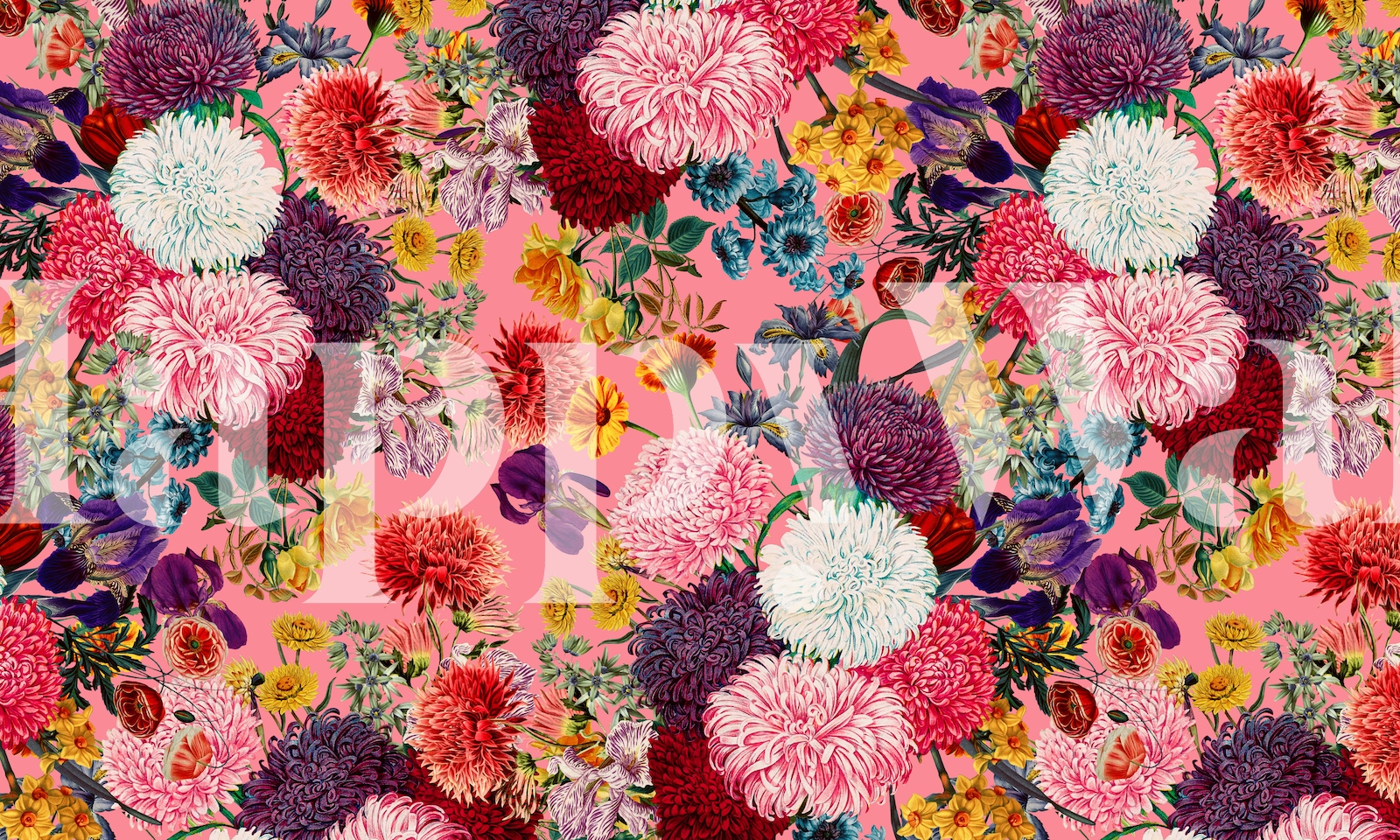 Bright Pink Floral Wallpaper for Living Room