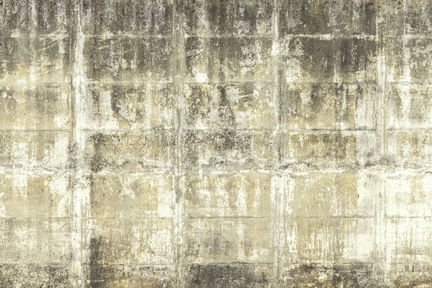 Weather Washed Wall wallpaper - Happywall