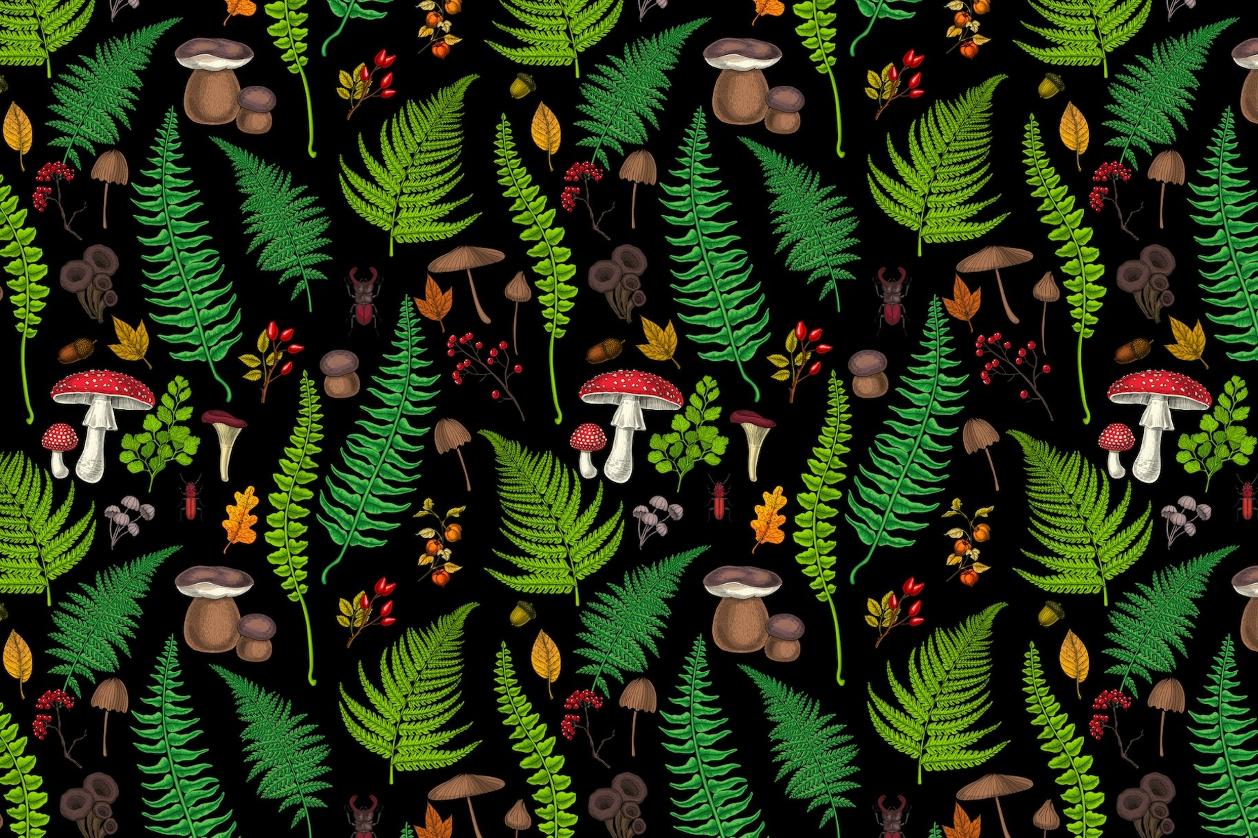 Woodland Flora and Fauna Wallpaper | Happywall