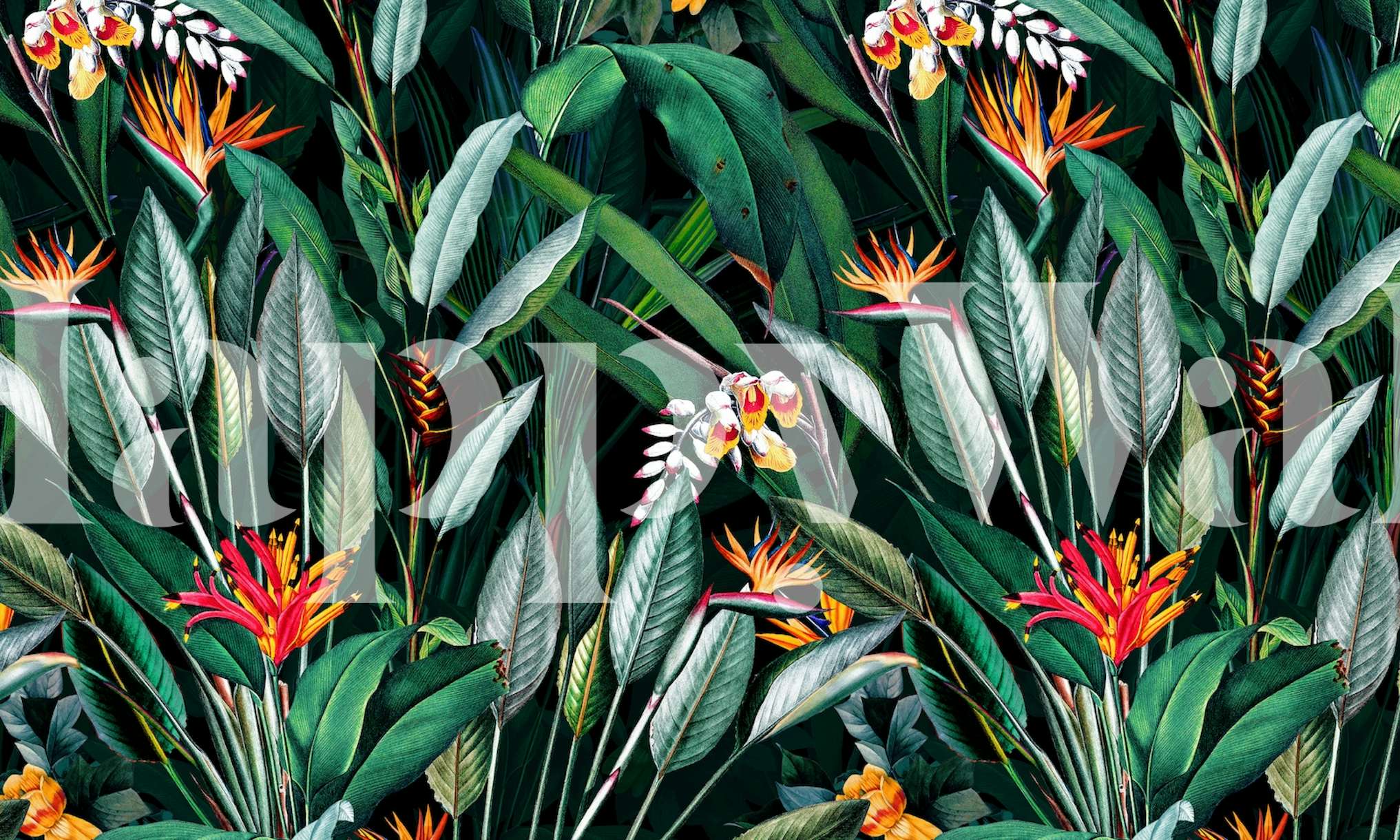 Buy Midnight Garden V wallpaper - Happywall