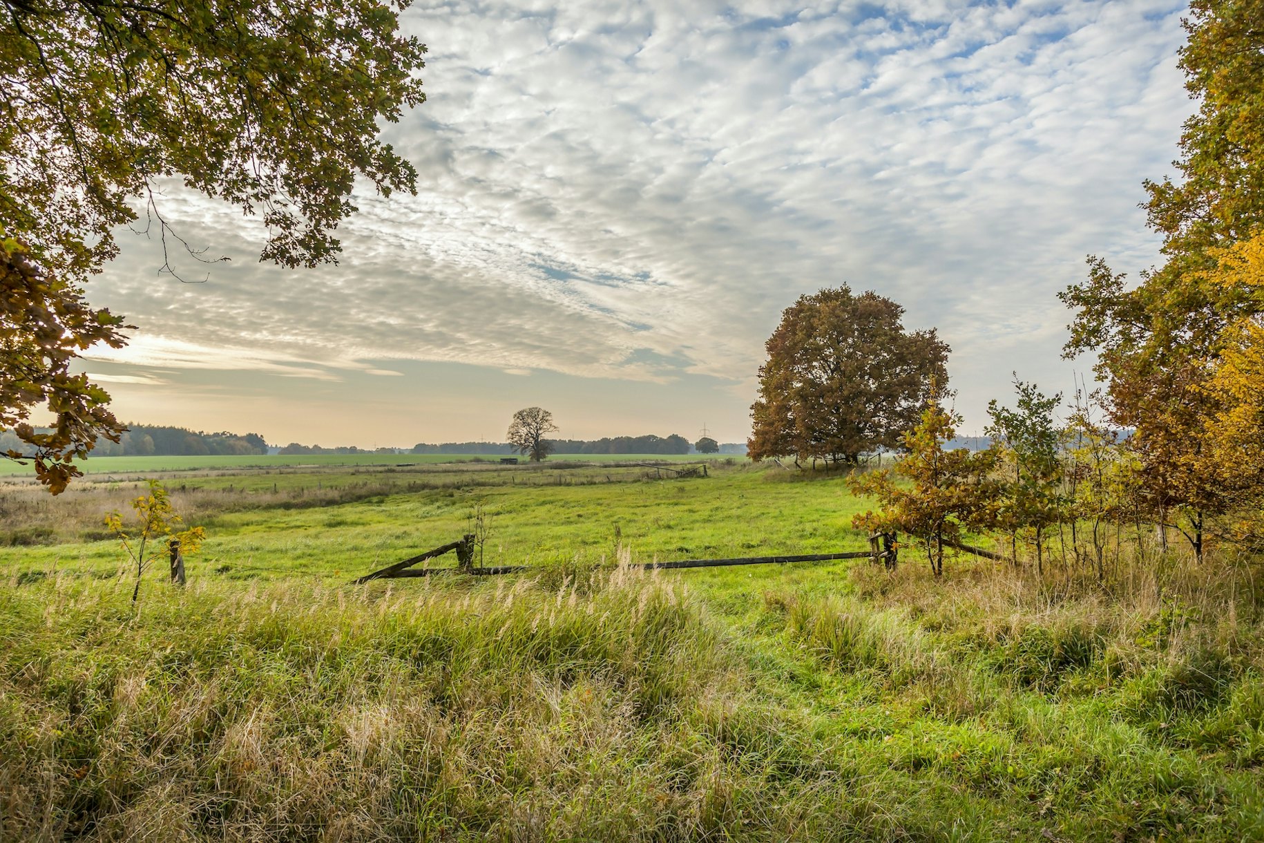 Rural North Germany Landscape Wallpaper - Happywall