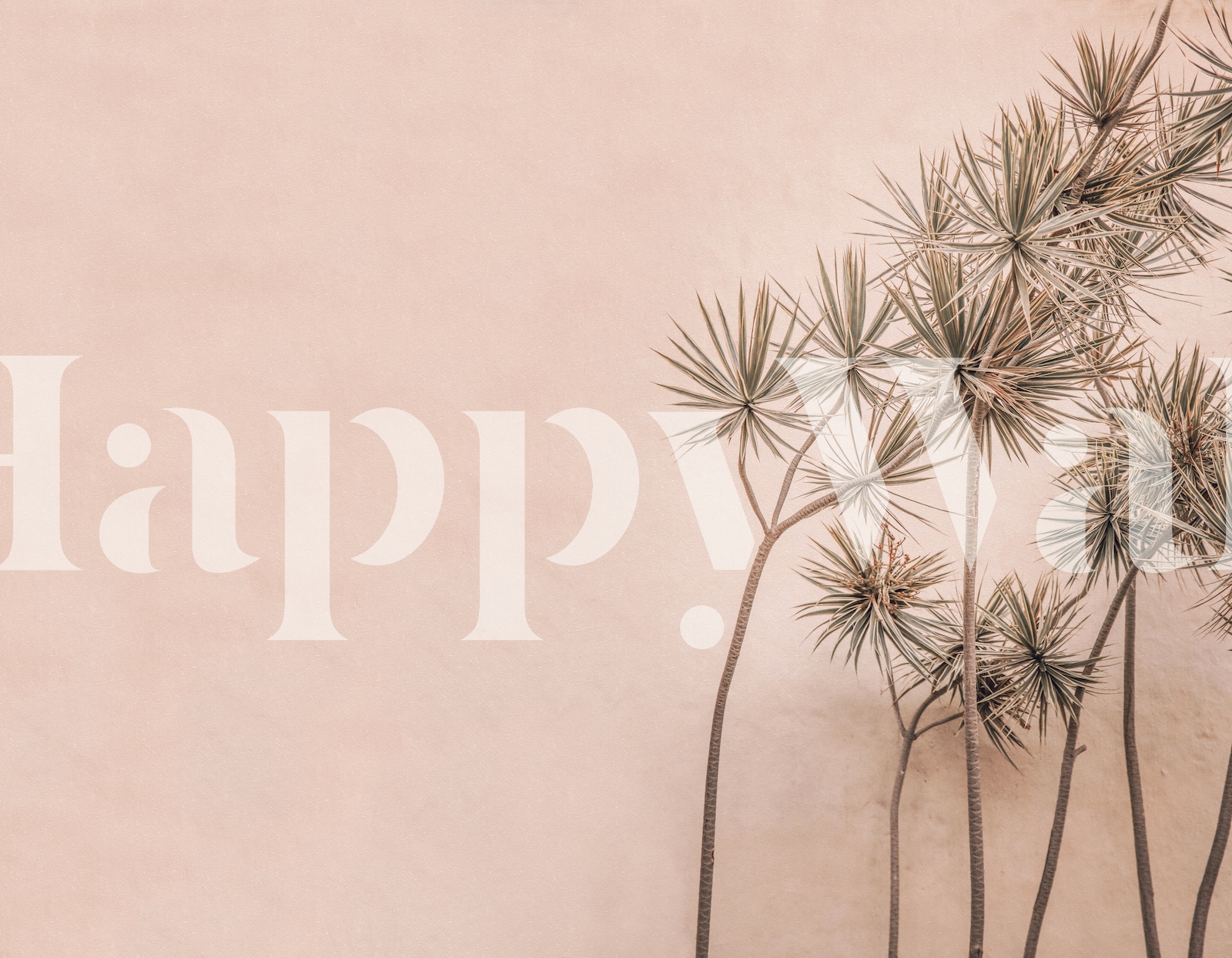 Tropical Palm Leaf Wallpaper on Pink Background