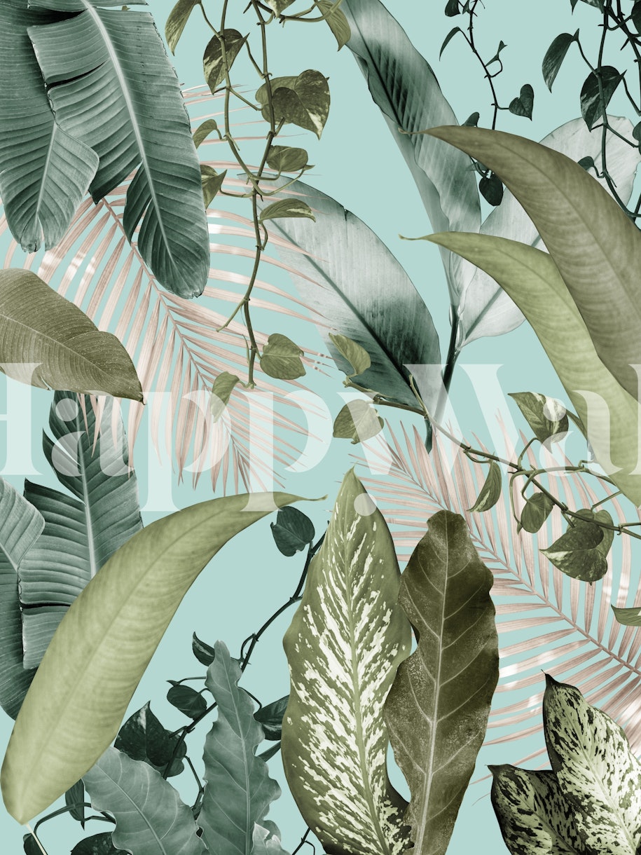 Buy Marocco Tropicale 1 Wallpaper | Happywall