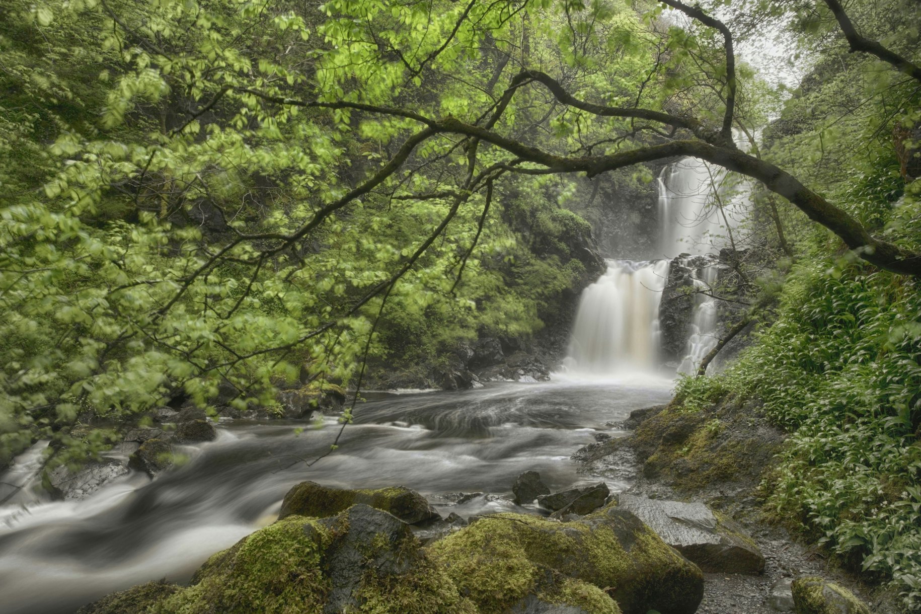 Scottish Water Fall Wallpaper - Buy Online | Happywall