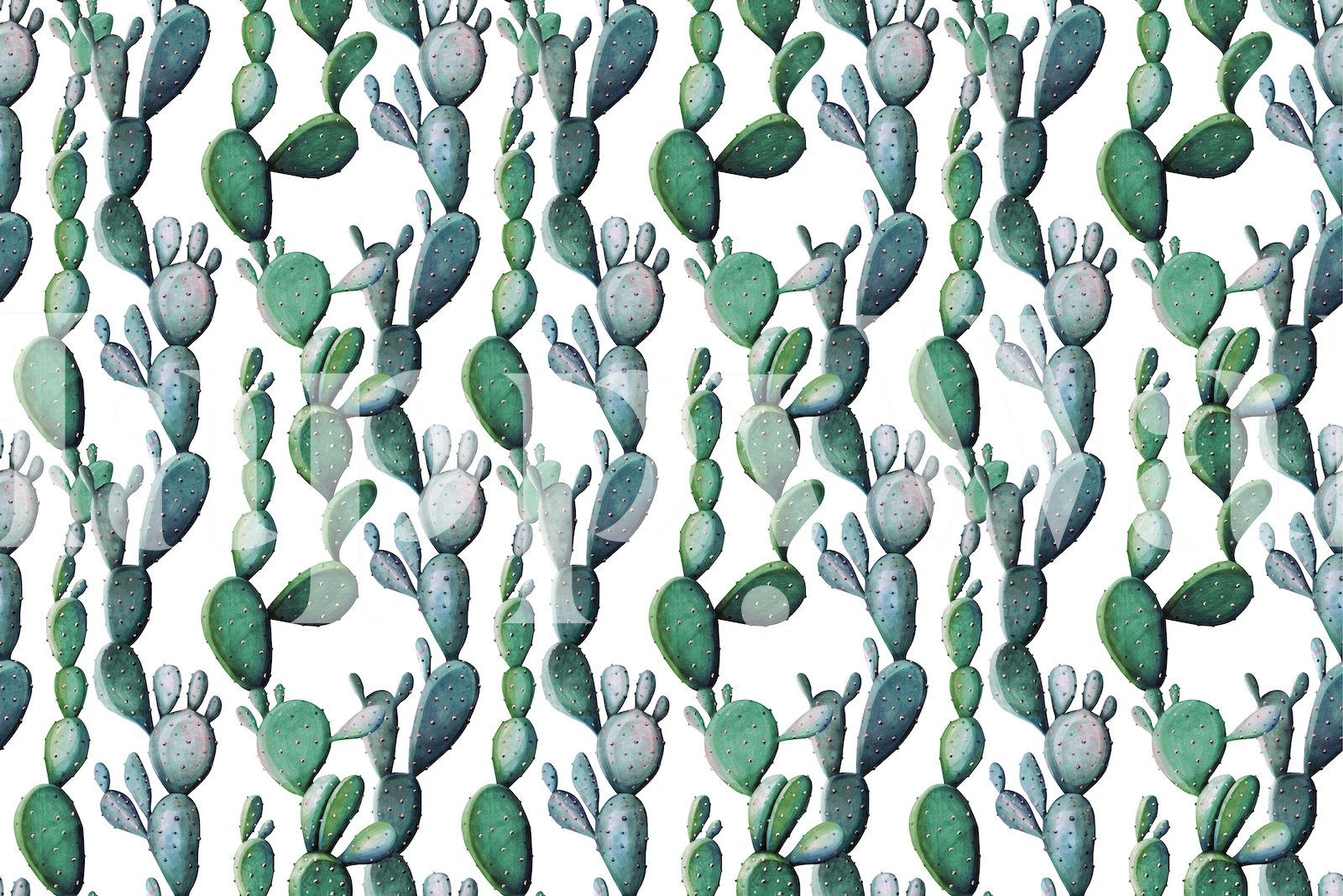 Green Cactus Pattern Wallpaper for Modern Décor