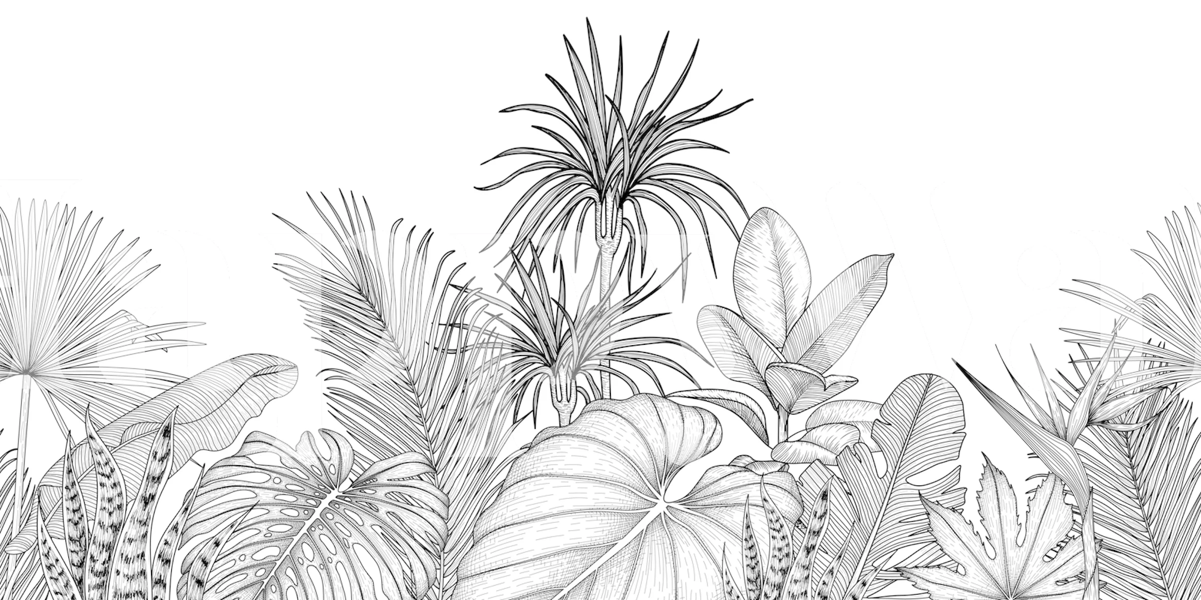 Buy Tropical Engraving Wallpaper Online - Happywall
