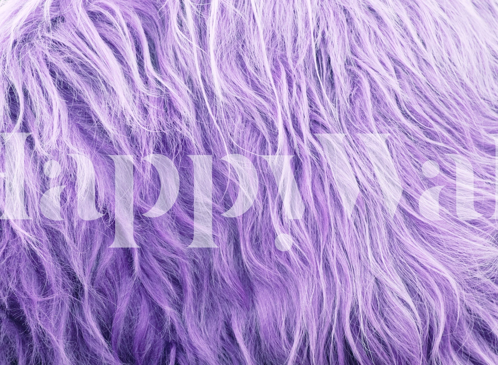 Purple Faux Highland Cow Fur 1 Wallpaper | Happywall