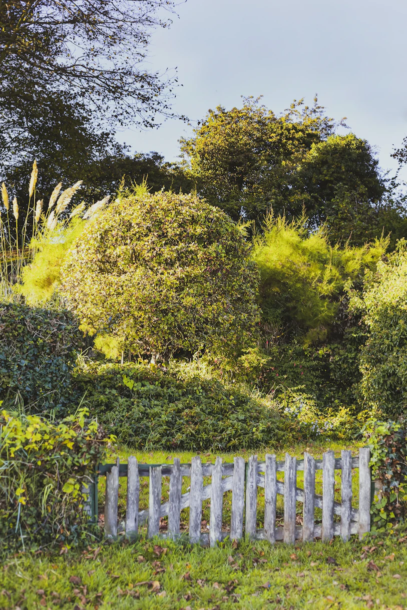 British Countryside Old Fence wallpaper - Happywall