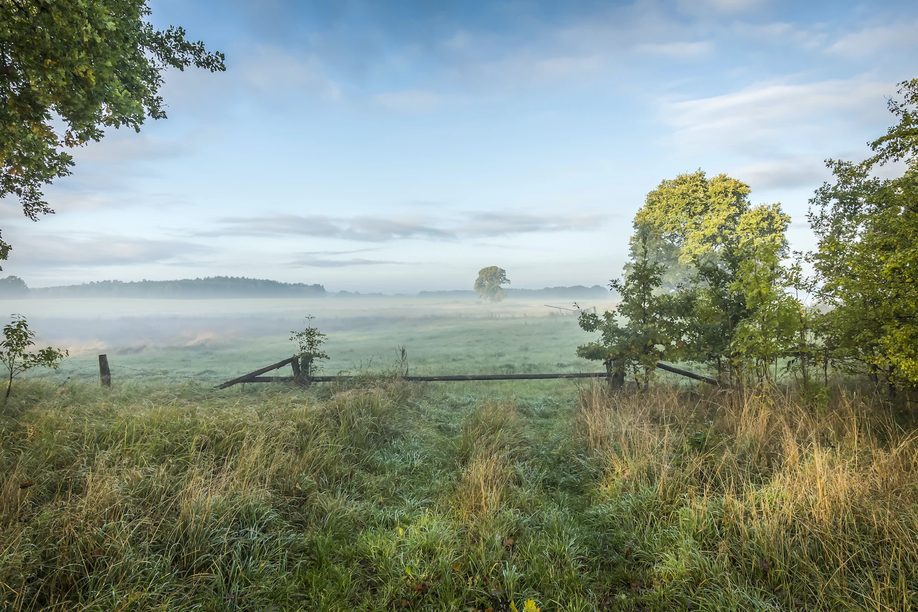 Buy Rural German Hazy Landscape Wallpaper | Happywall