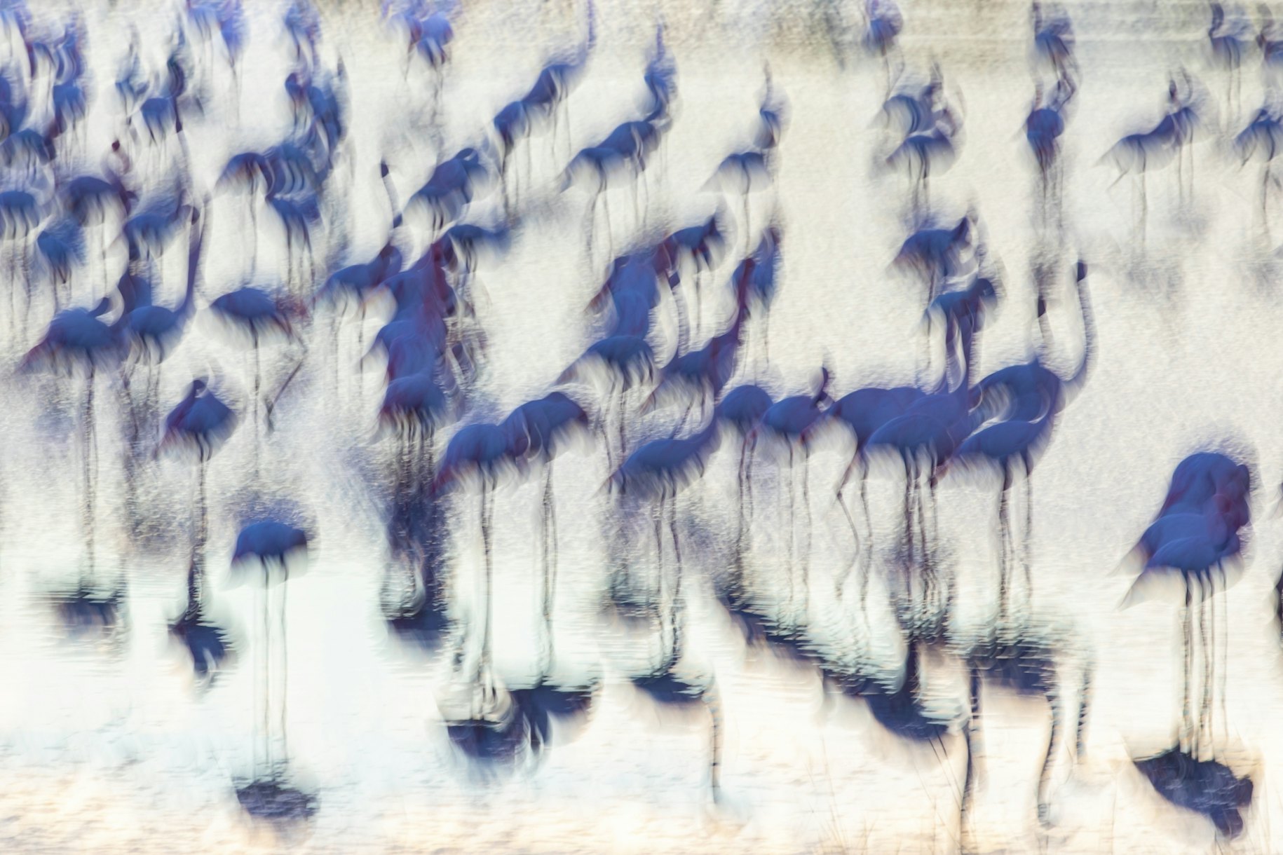 Sensory impressions wallpaper - Happywall