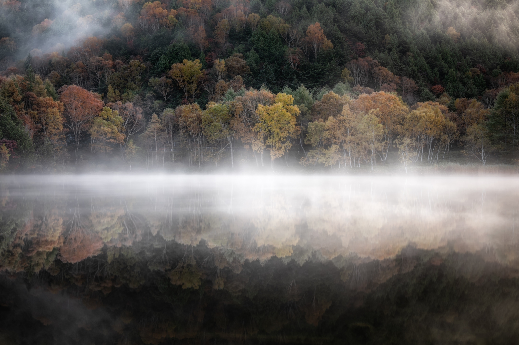 The Mystical Pond in Autumn Wallpaper | Happywall.com