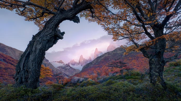 Sunset from Window Wallpaper - Beautiful Scenery for Your Walls