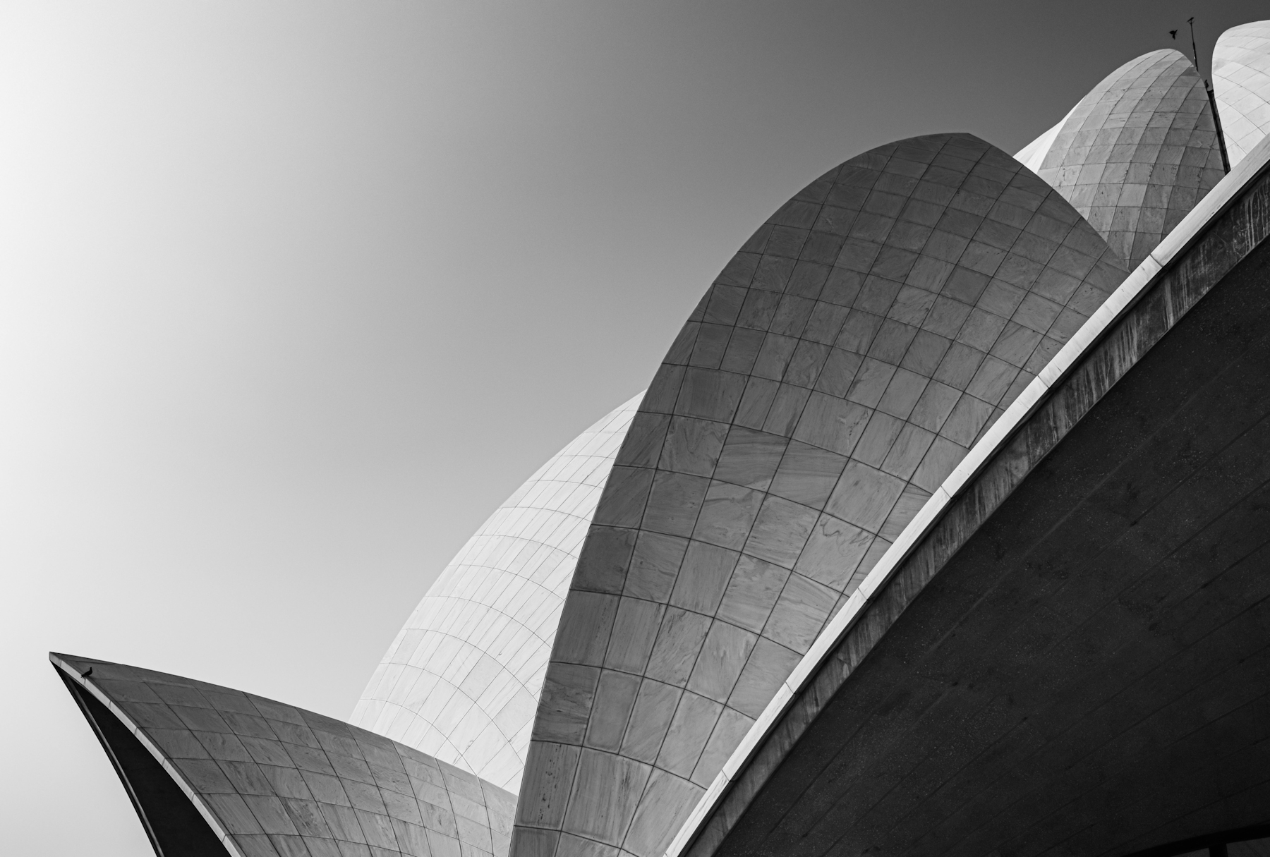 Lotus Temple - The Grey Scale Wallpaper | Happywall