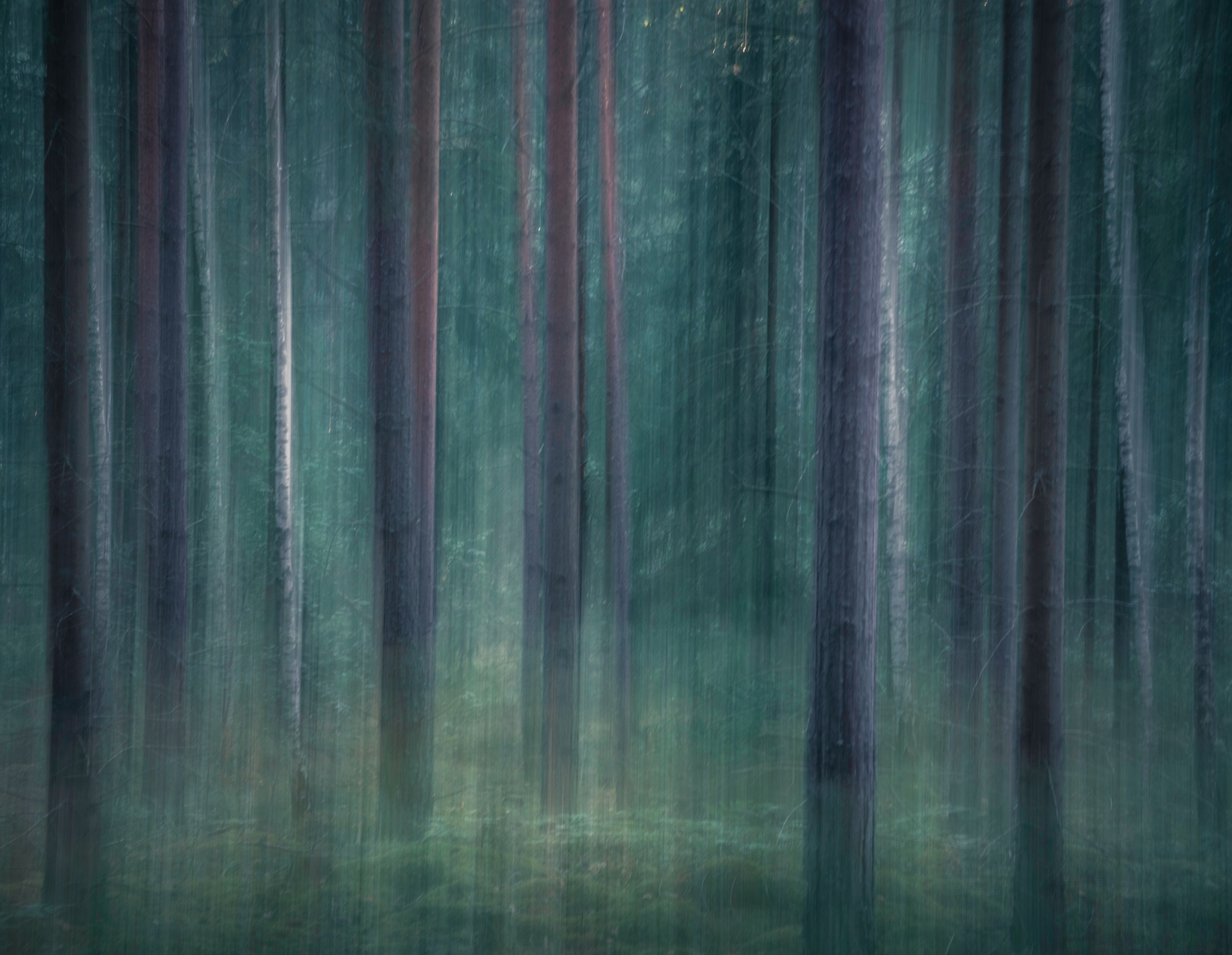 ICM 9 Wallpaper - Buy Beautiful Wallpapers Online | Happywall
