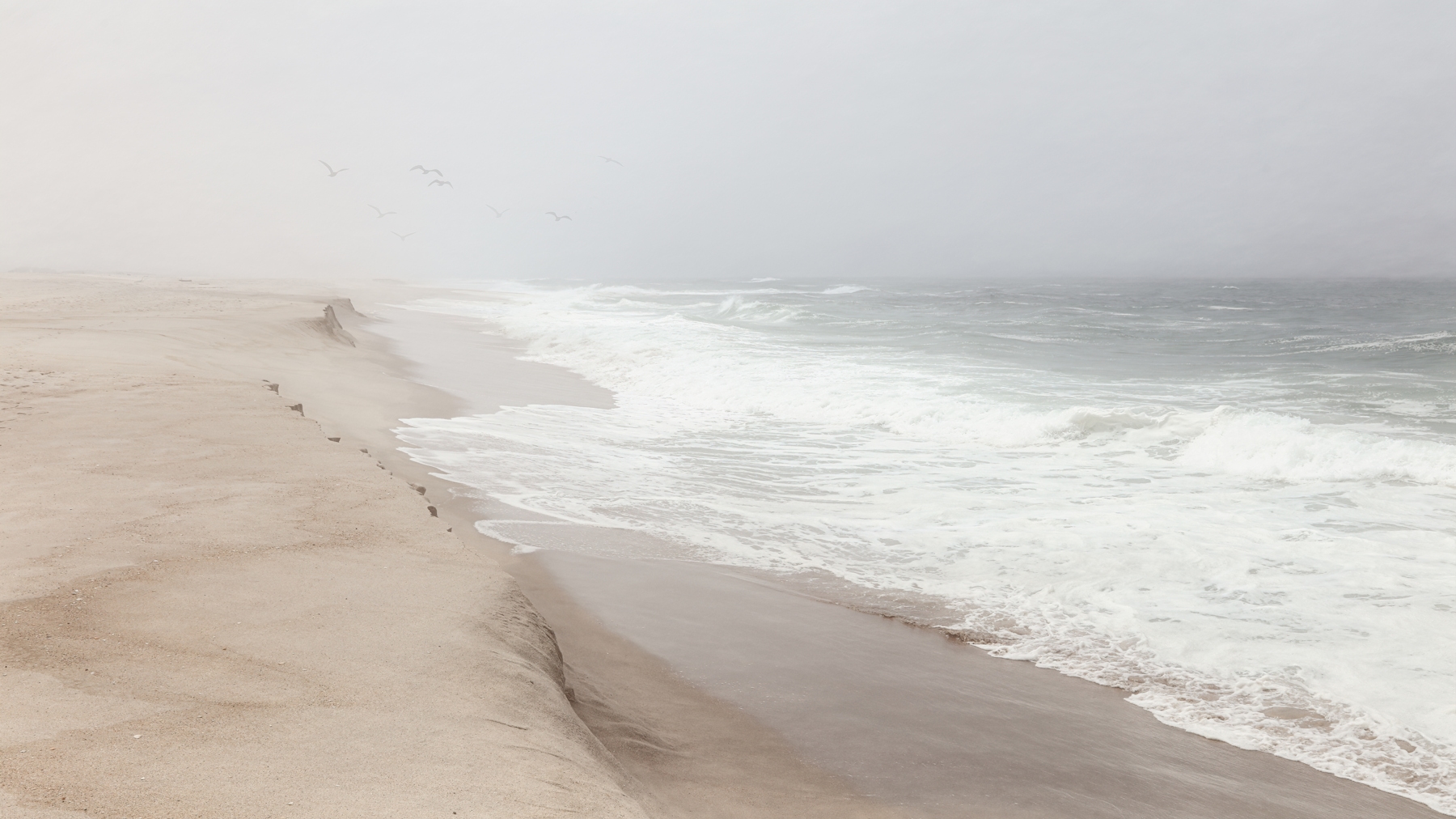 Mist over Sao Jacinto Beach Wallpaper - Buy Online | Happywall