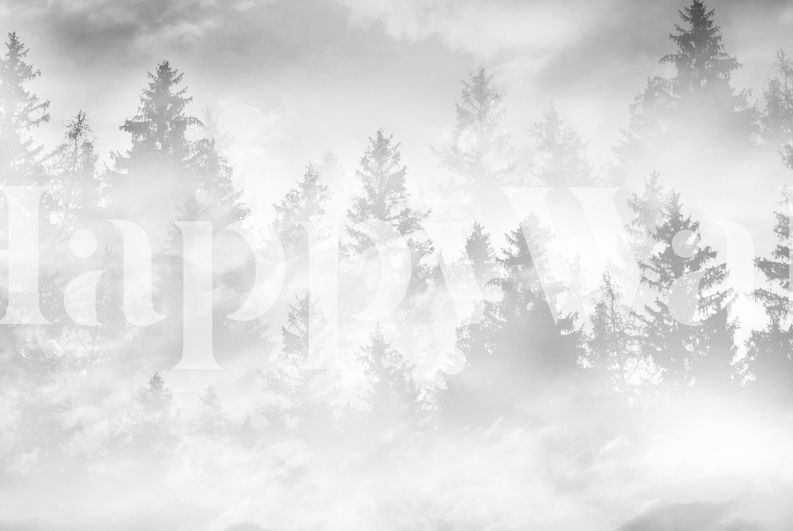 Gray Forest Wallpaper for Tranquil Interiors