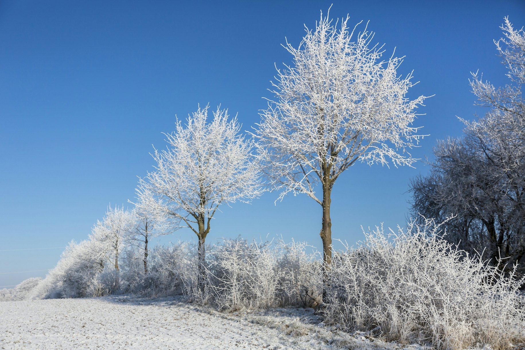 Winter Idyll North of Germany Wallpaper | Happywall