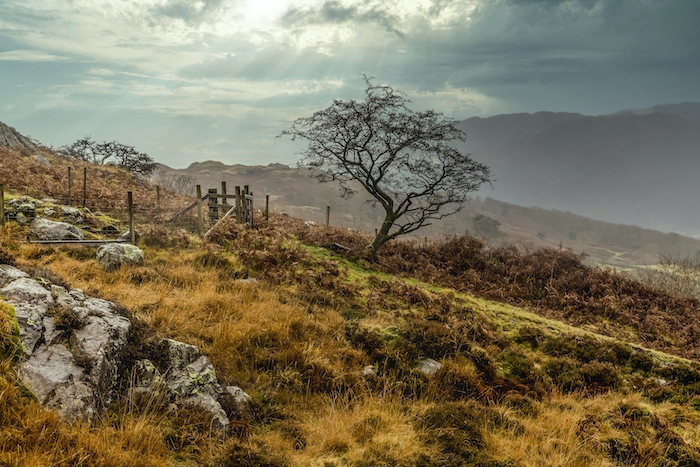 Scenic Lake District Landscape Wallpaper