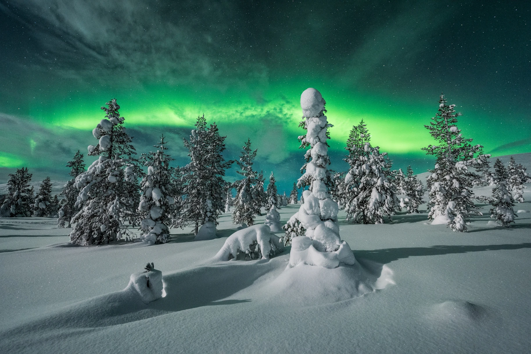 polar night wallpaper - Happywall