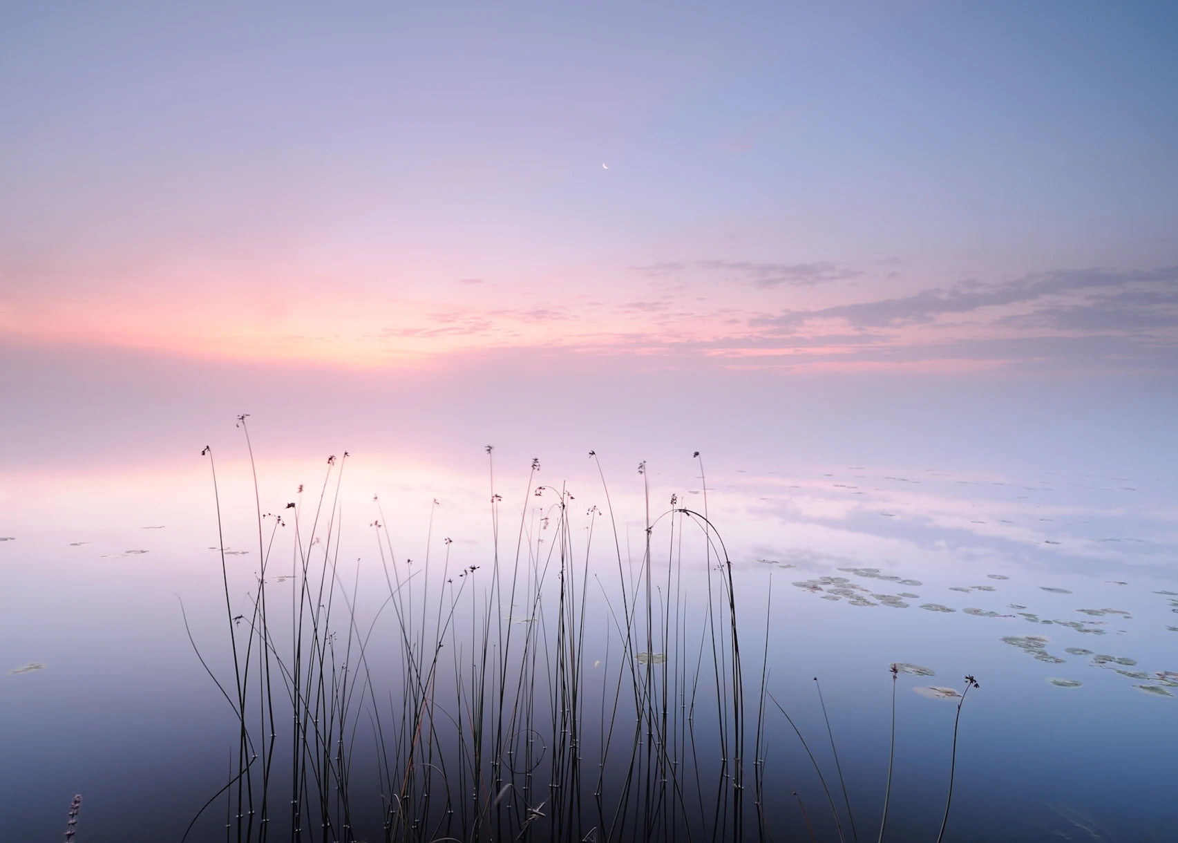 Lake wallpaper - Happywall