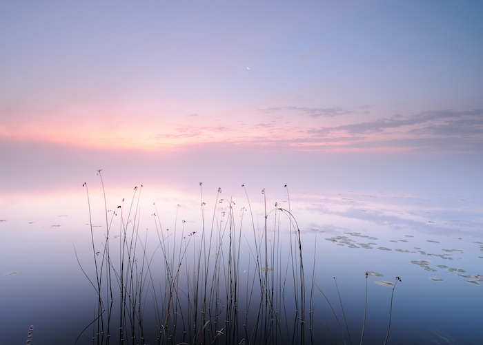 Lake Wallpaper | Happywall