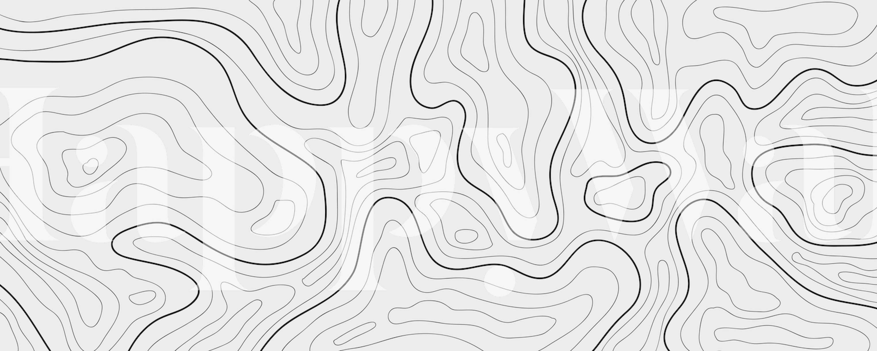 Topographic Map IV Wallpaper | Buy Wallpaper Online - Happywall