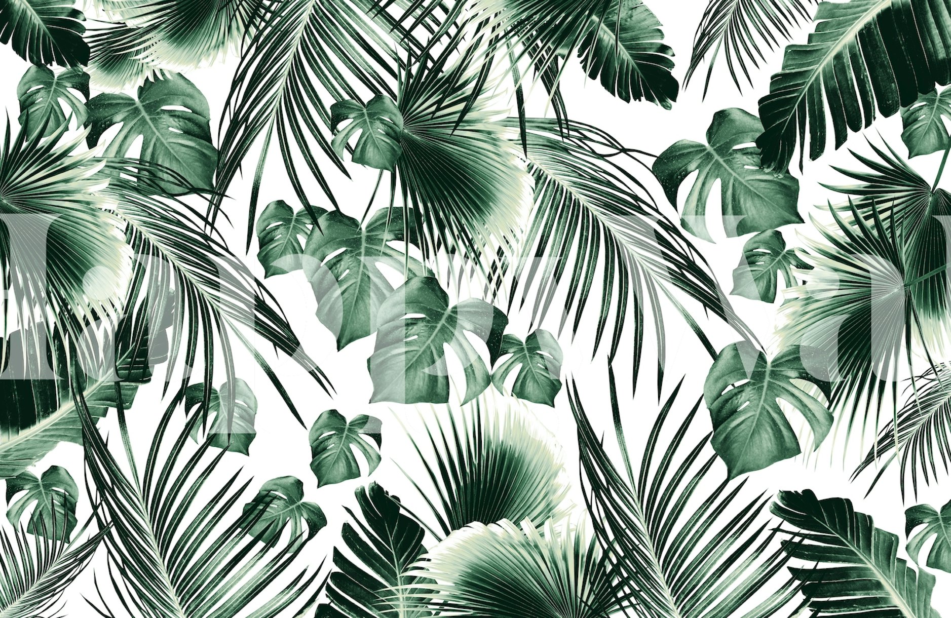 Tropical Jungle Leaves 7 w 1 wallpaper - Happywall