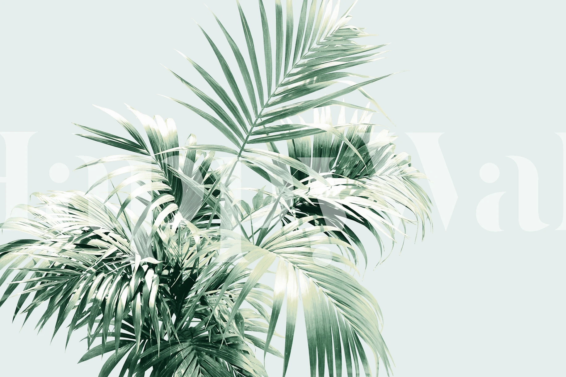Palm Leaf Vibes 1 wallpaper - Happywall