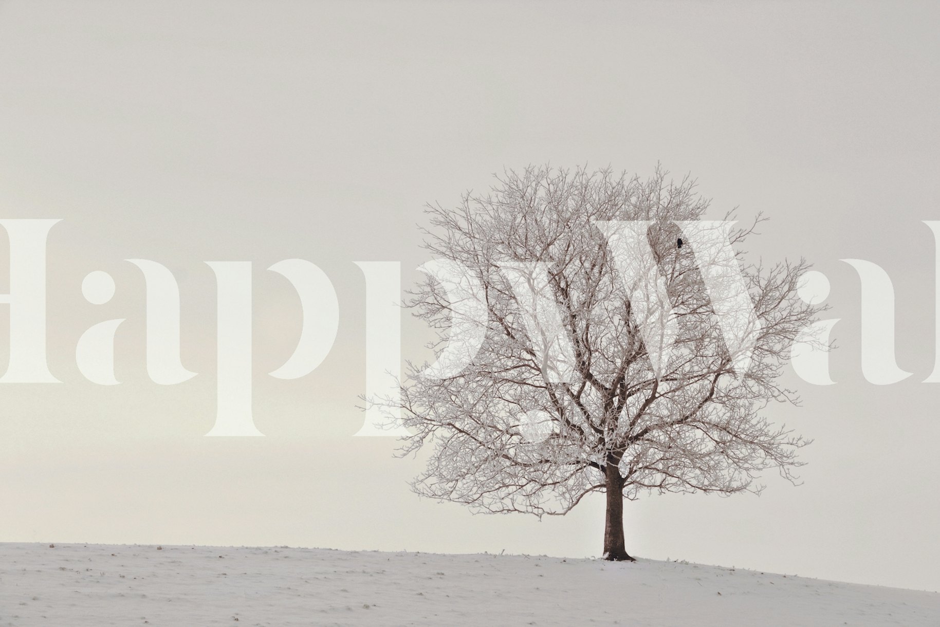 Winter Tree Beige wallpaper - Happywall