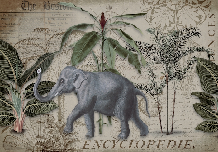 Elephants Journey Collage Art Wallpaper - Happywall.com