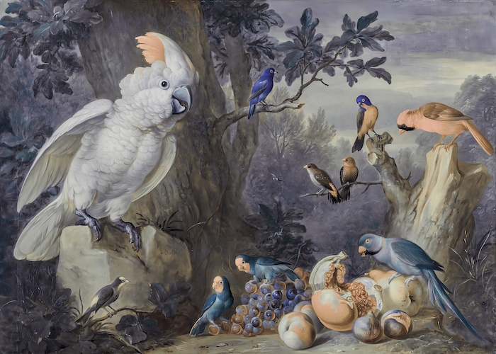 Vintage Birds Still Life Wallpaper