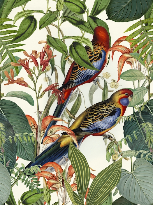Tropical Parakeet Paradise Wallpaper | Happywall