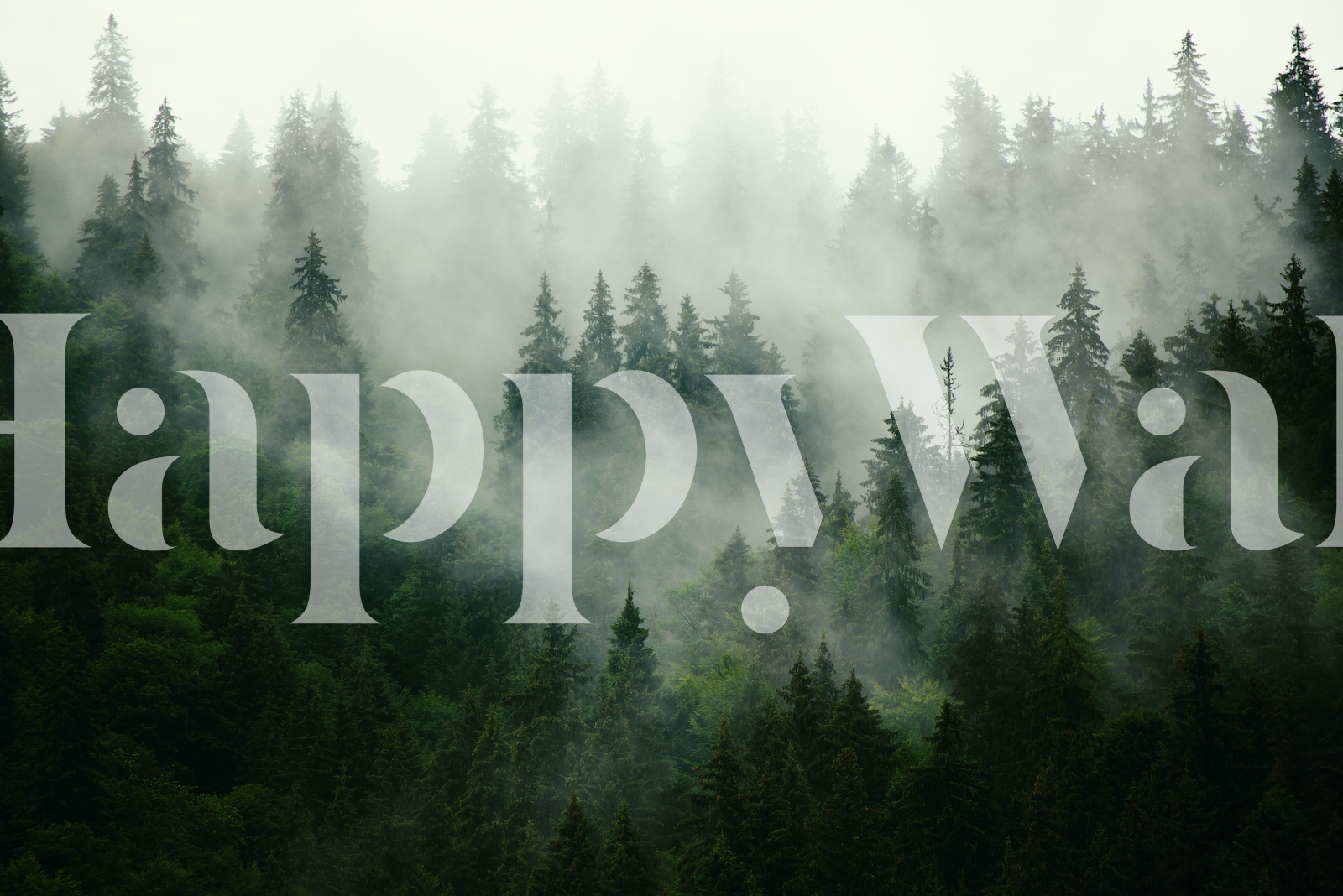 Misty Forest Green Wallpaper | Happywall