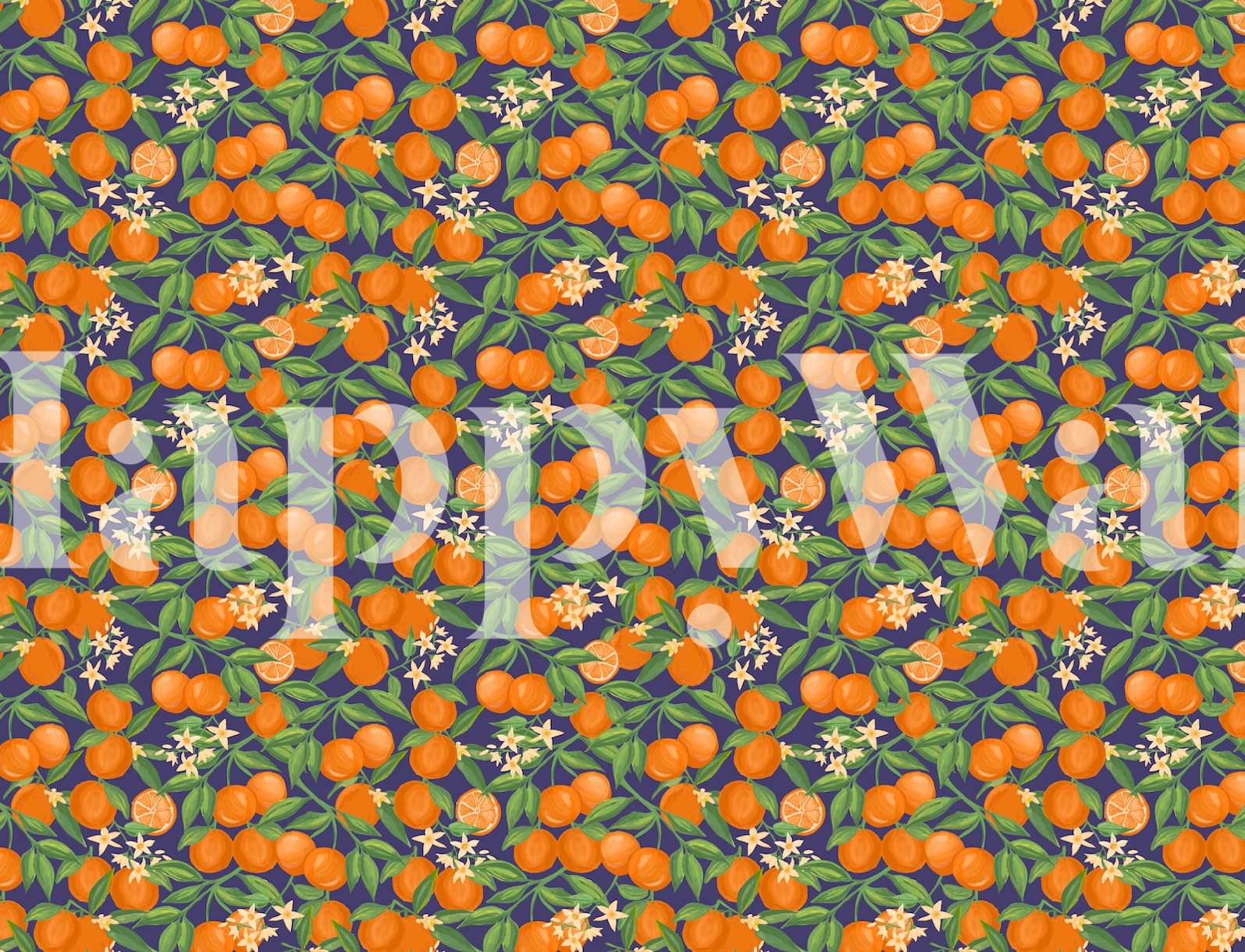 Fruits - Oranges on Blue wallpaper - Happywall