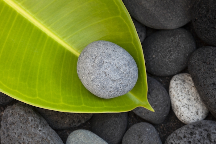 Still with Pebble and Leaf Wallpaper - Buy Online | Happywall