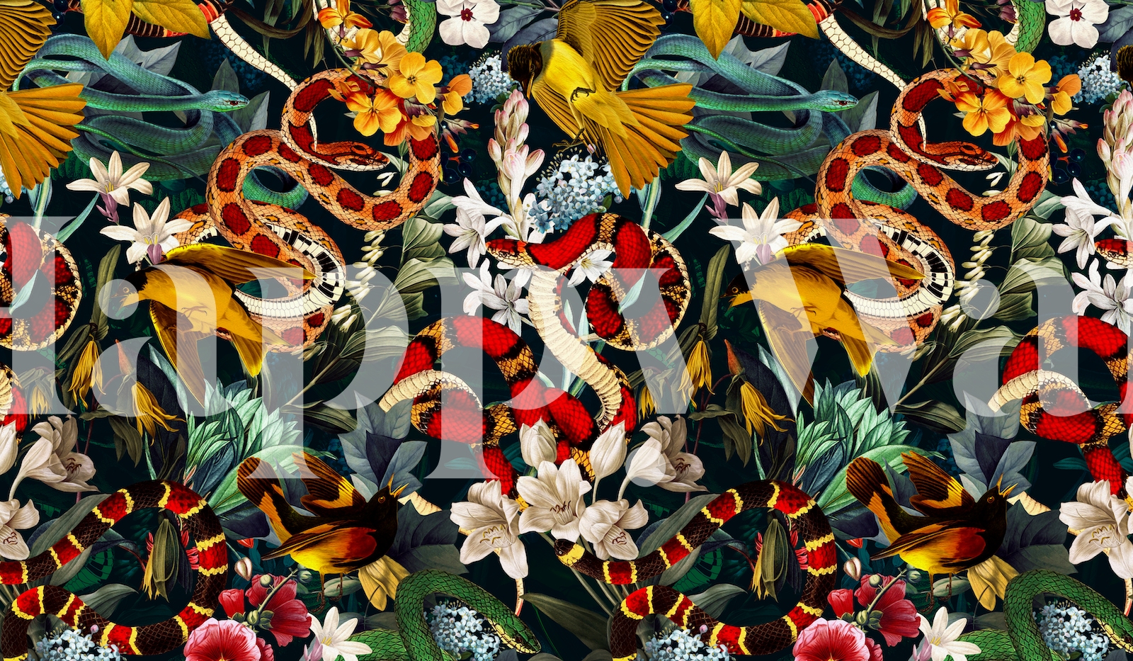 Colorful Floral Bird and Snake Wallpaper