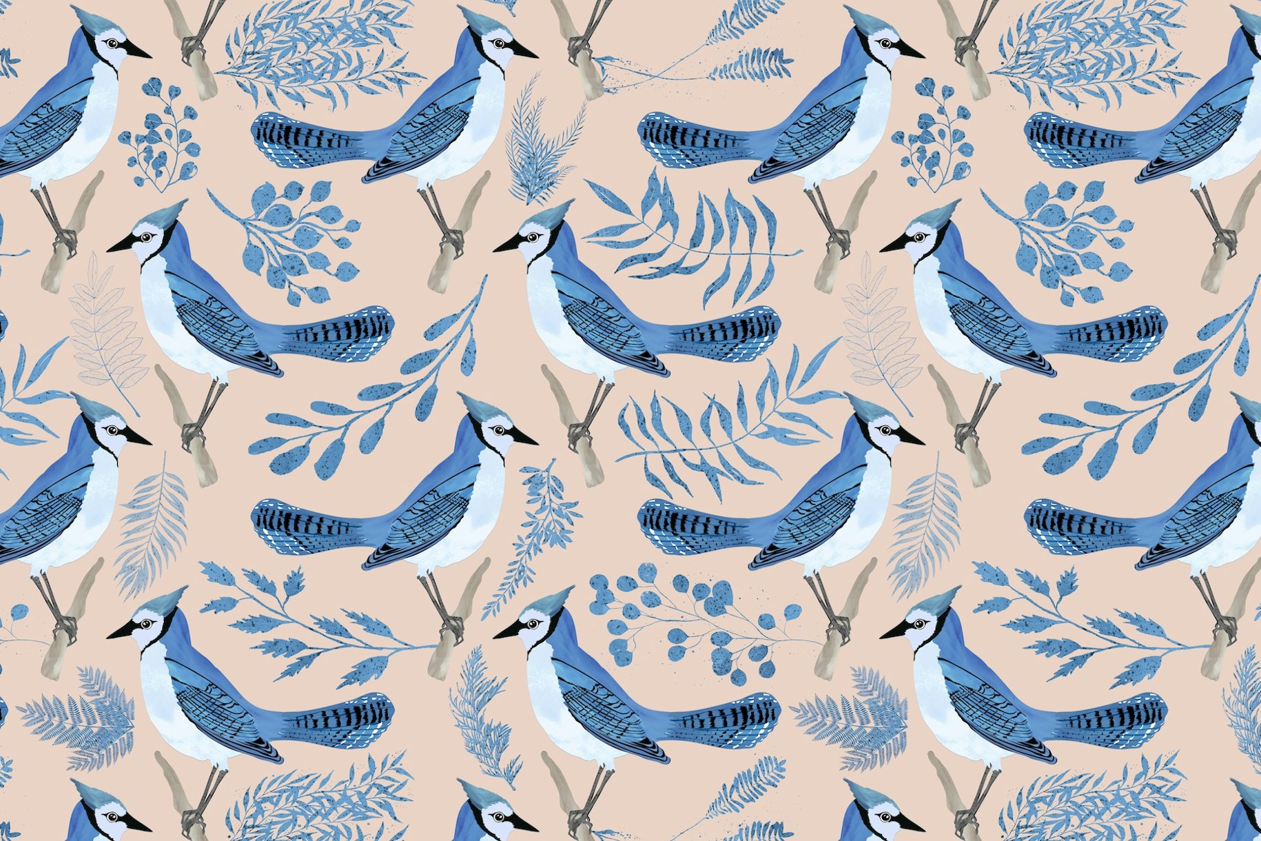 The Blue Jay peach background wallpaper - Happywall