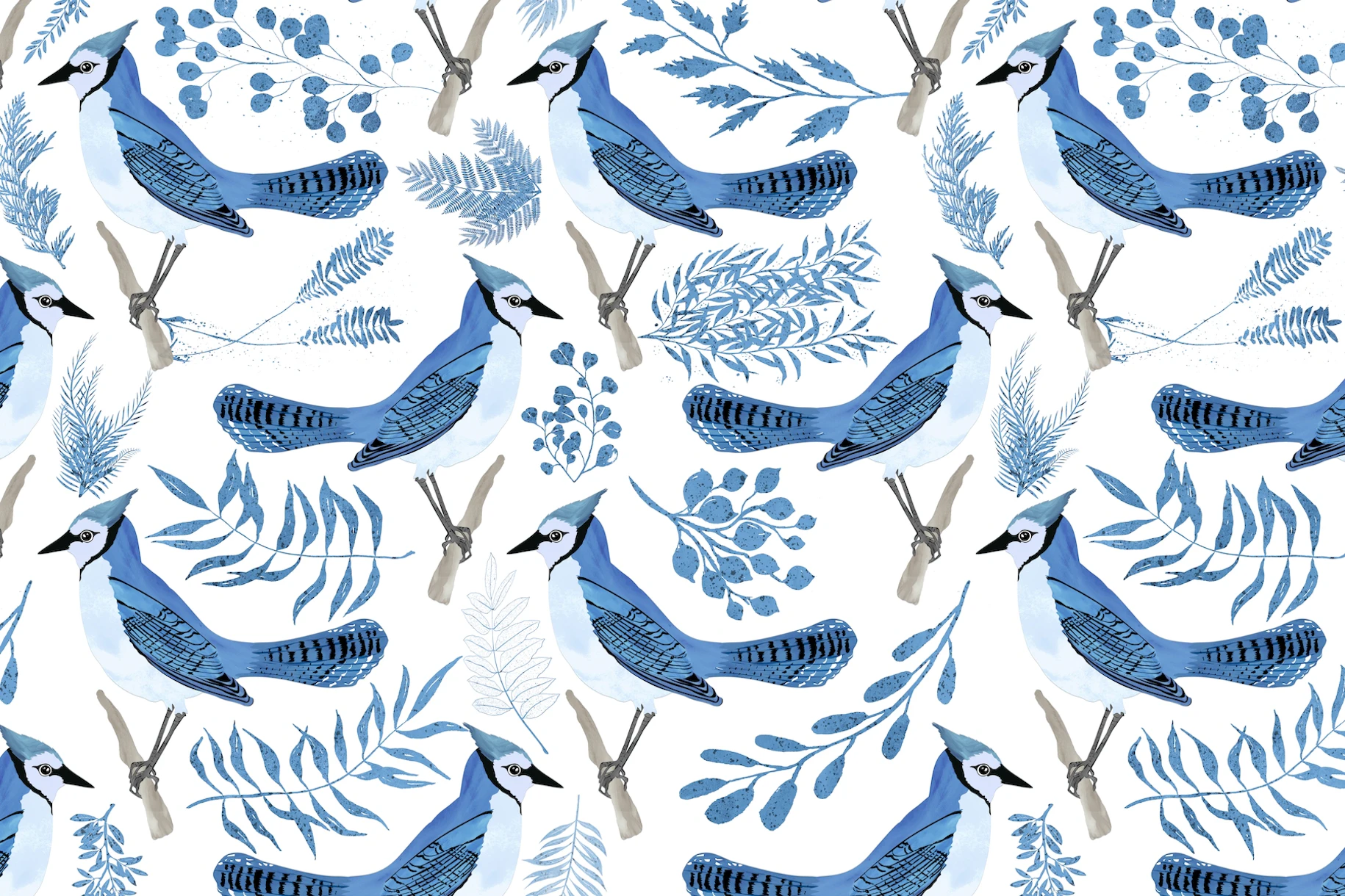 The Blue Jay white wallpaper - Happywall