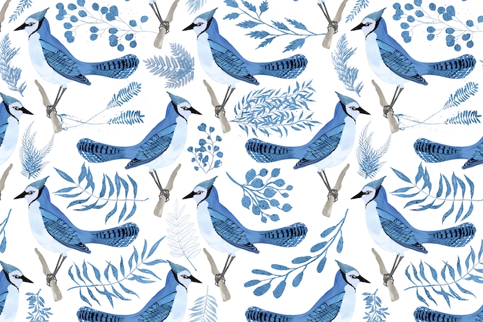Blue Jay Wallpaper Ndash 100+] Blue Jay Bird Wallpapers