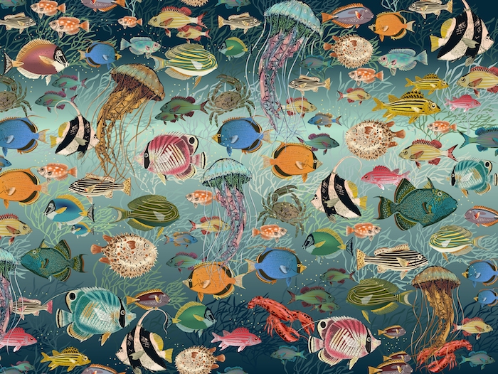 Colorful Ocean Fish Wallpaper for Kids Bathroom