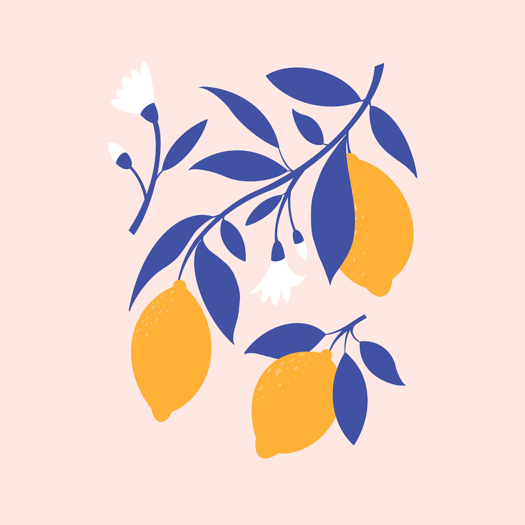 Cheerful Lemons Wallpaper - Buy Online | Happywall