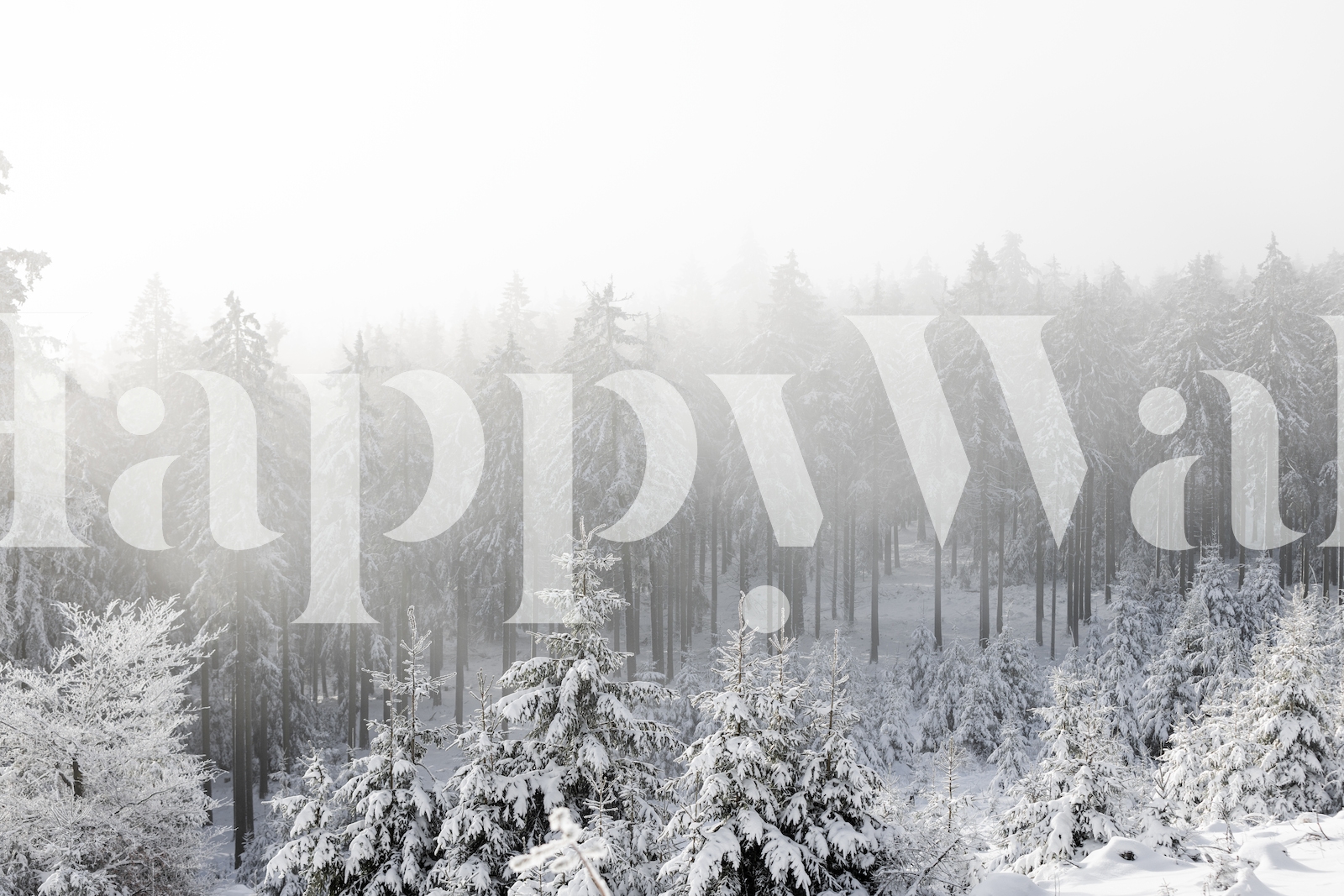 Snowy Forest Wallpaper for Cozy Homes