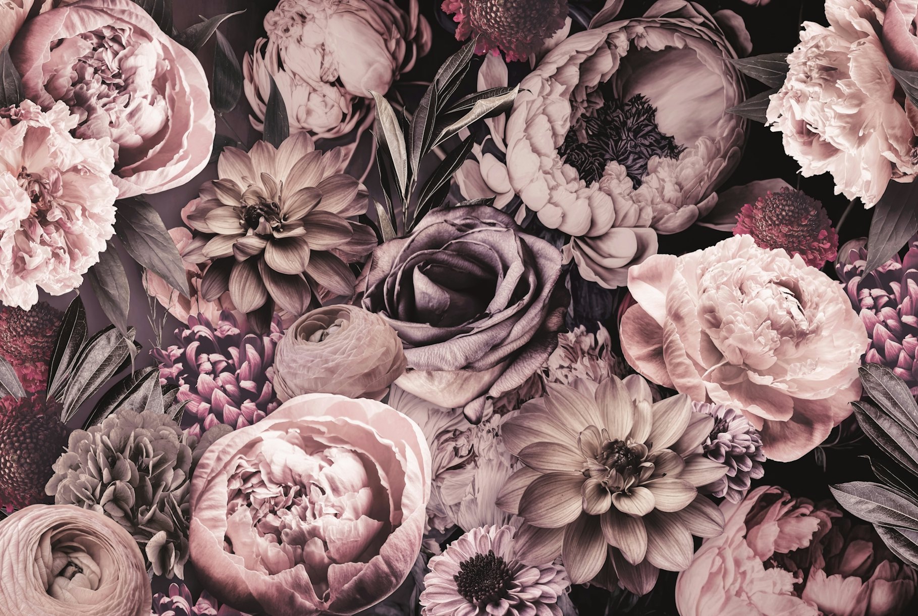 Moody Baroque Floral Pink wallpaper - Happywall