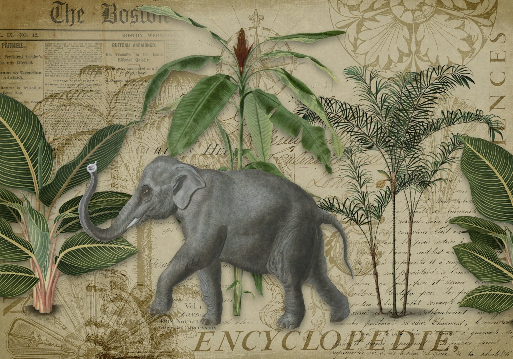 "Elephant's Journey Collage Wallpaper | Happywall"