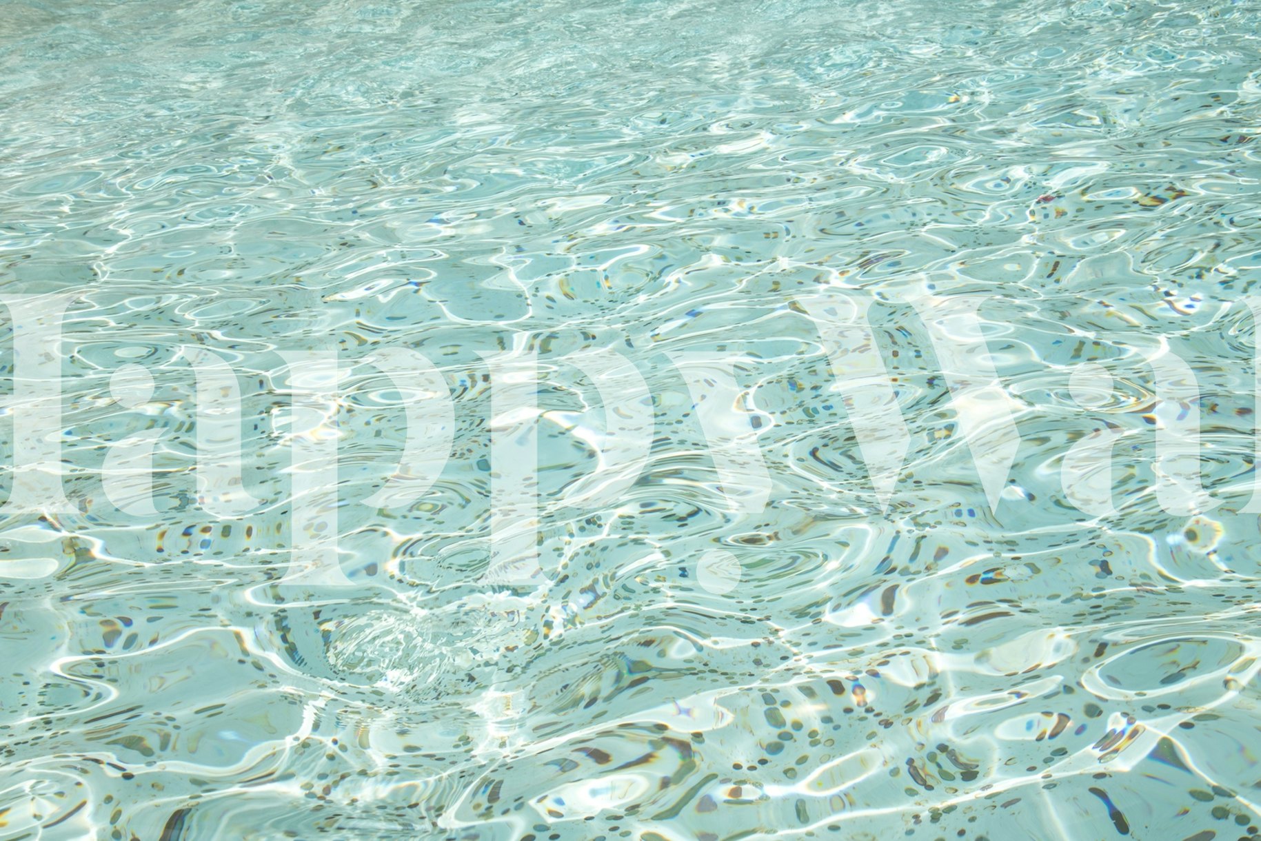 Coins in the Trevi Fountain 1 wallpaper - Happywall