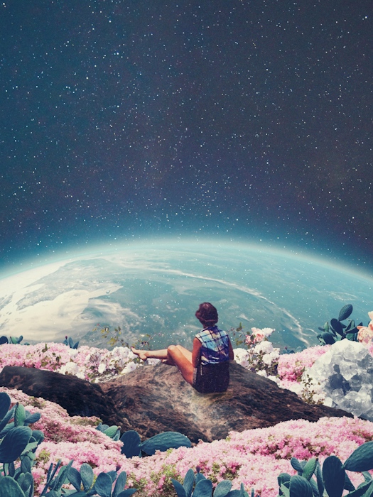Colorful Floral and Earth Wallpaper
