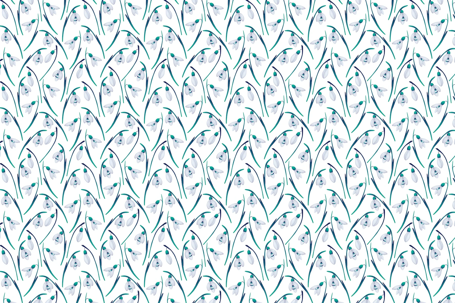 Snowdrops wallpaper - Happywall