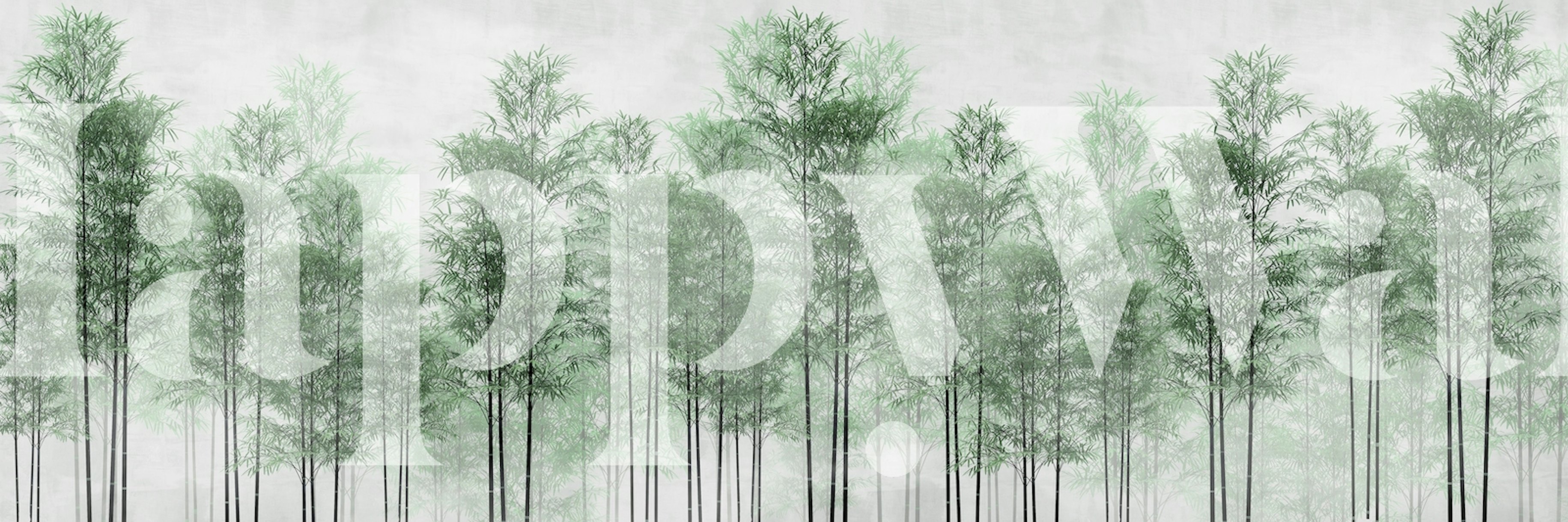 Green Trees Wallpaper – Buy Nature Inspired Wallpaper Online | Happywall