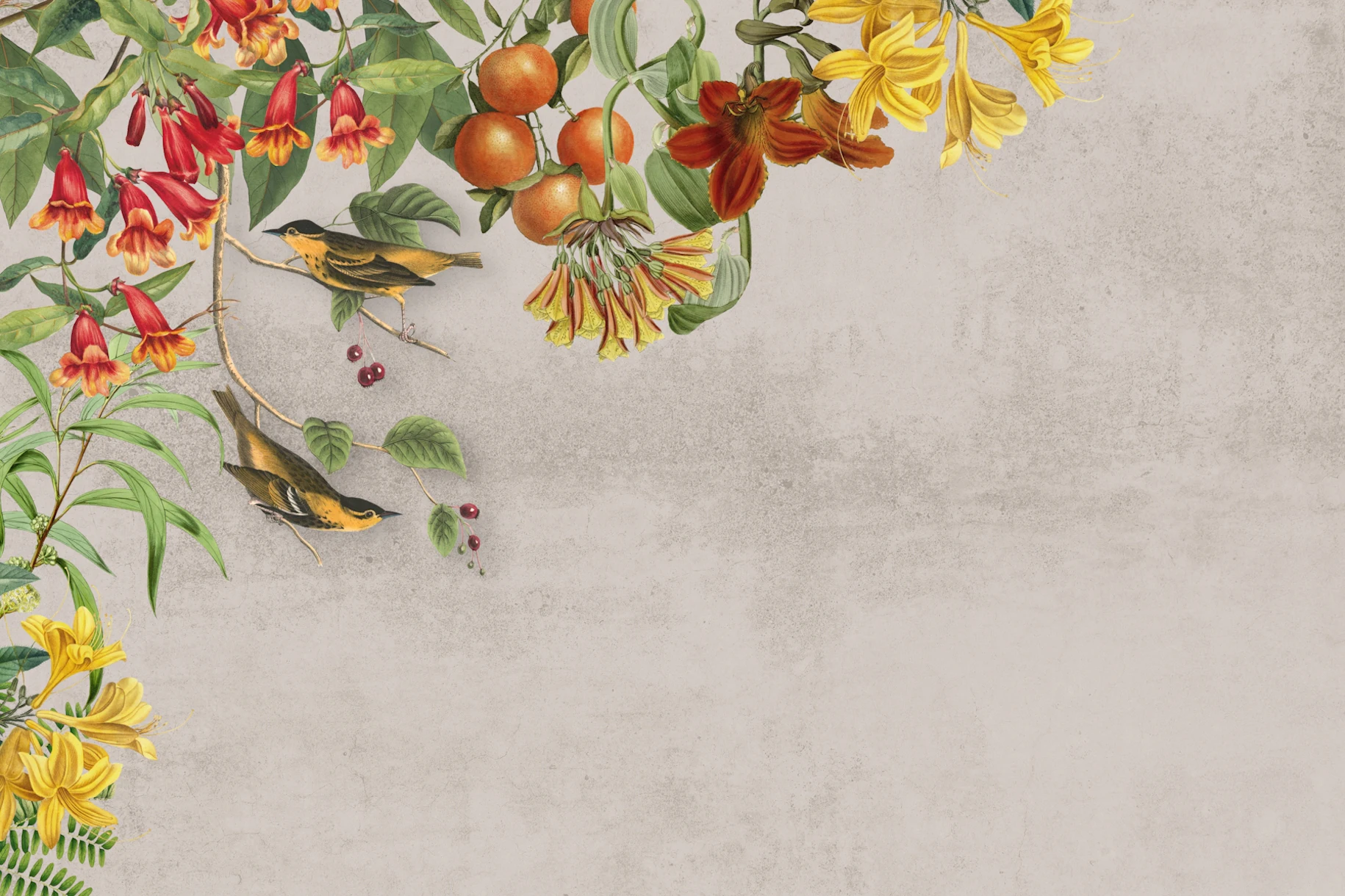 Spring Bird Garden wallpaper - Free shipping | Happywall